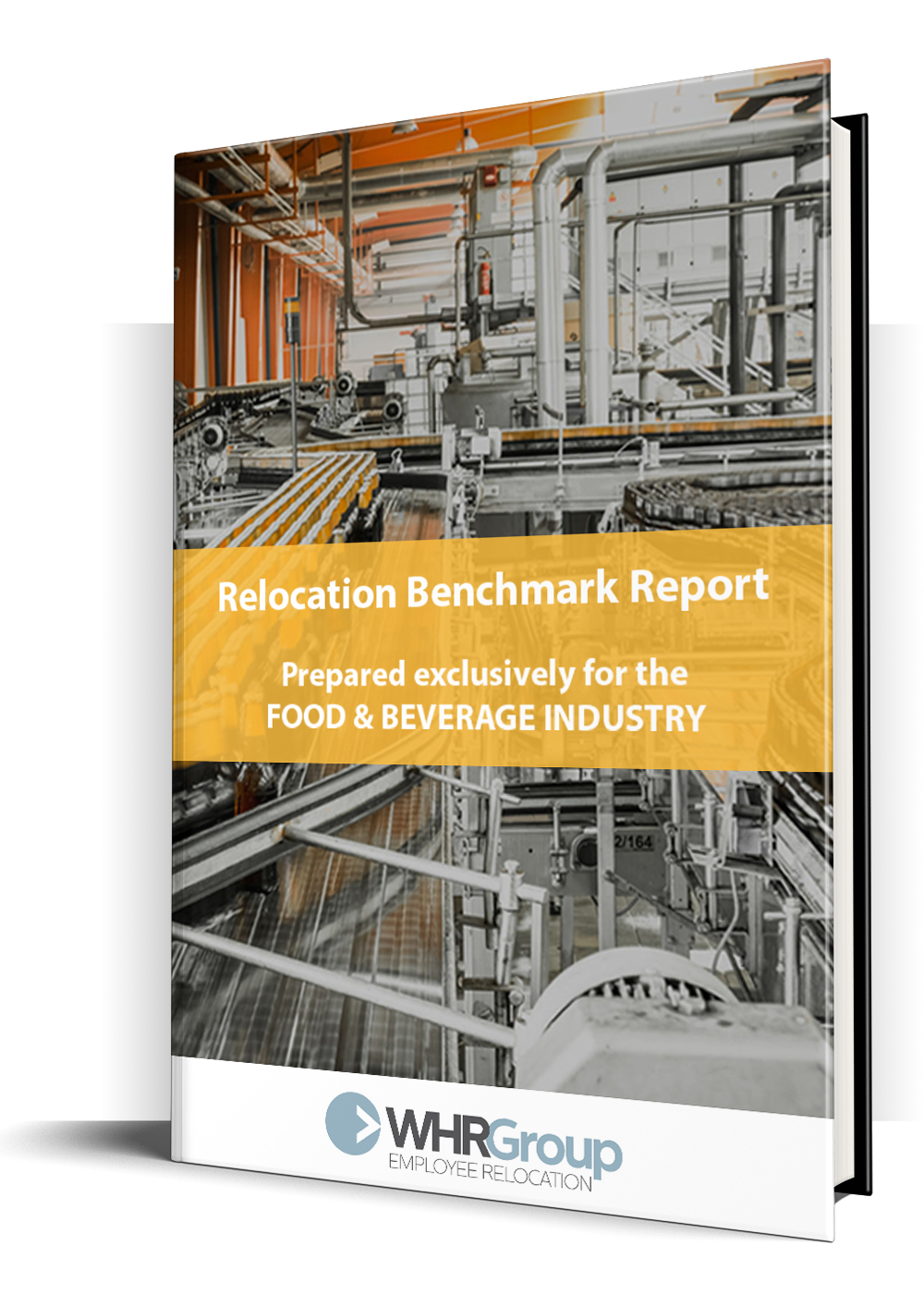 Food & Beverage Benchmark Study | WHR Global